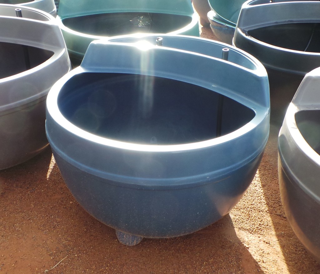 Aquaponics Pod - Woodvale Fish & Lily Farm Perth
