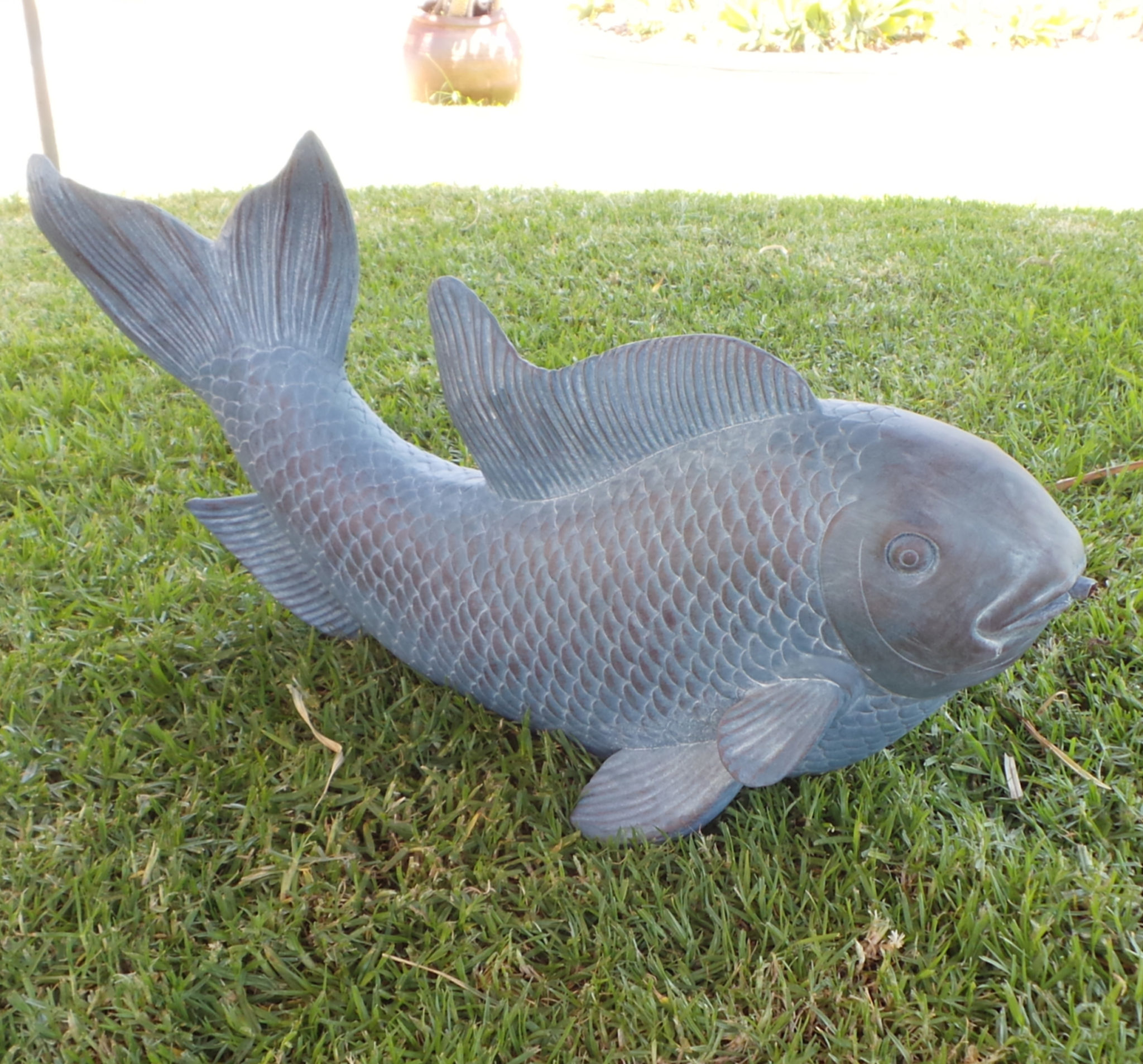 Large Fish Spitter - Sold Out - Woodvale Fish & Lily Farm Perth